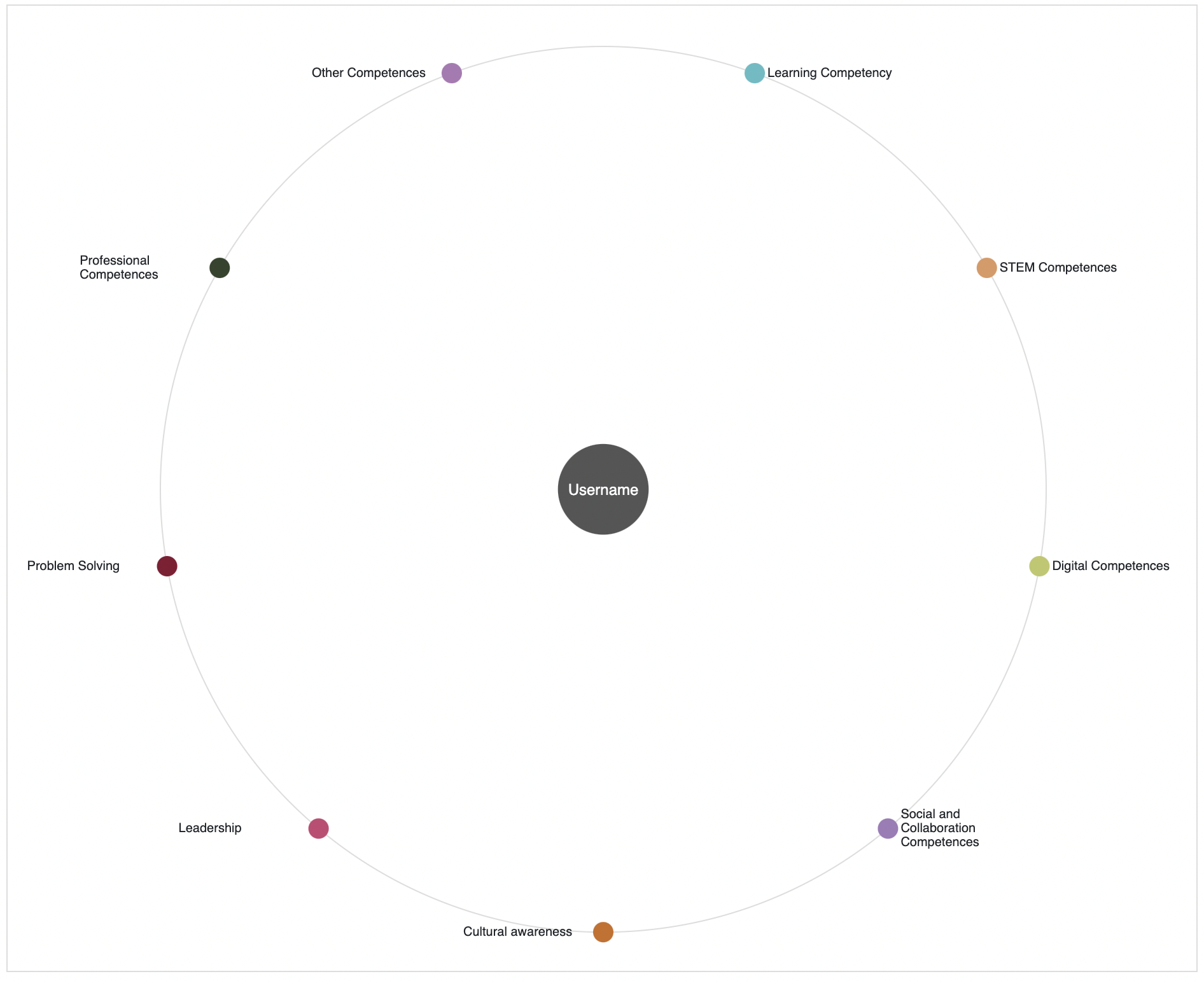 Radial Charts – Giorgi G.